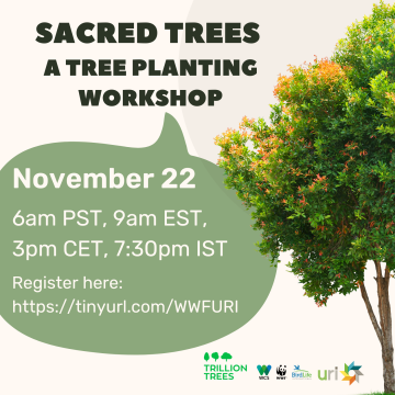 Sacred Trees: A Tree Planting Workshop | URI